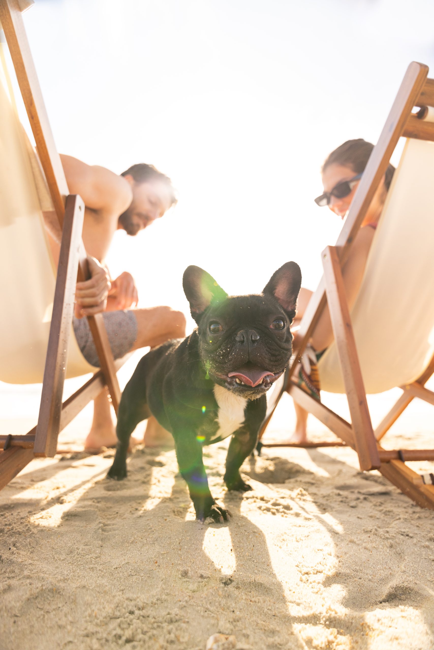 Luxury Hotel in Outer Banks, NC | The Sanderling Resort