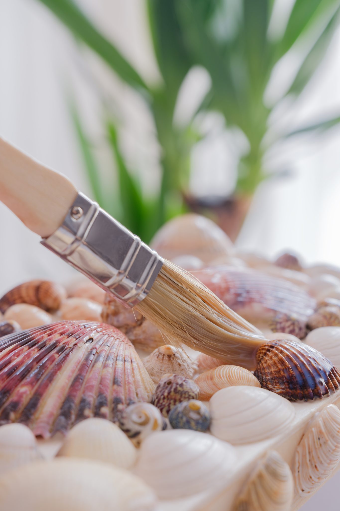 Shell Painting - October 30, 2025